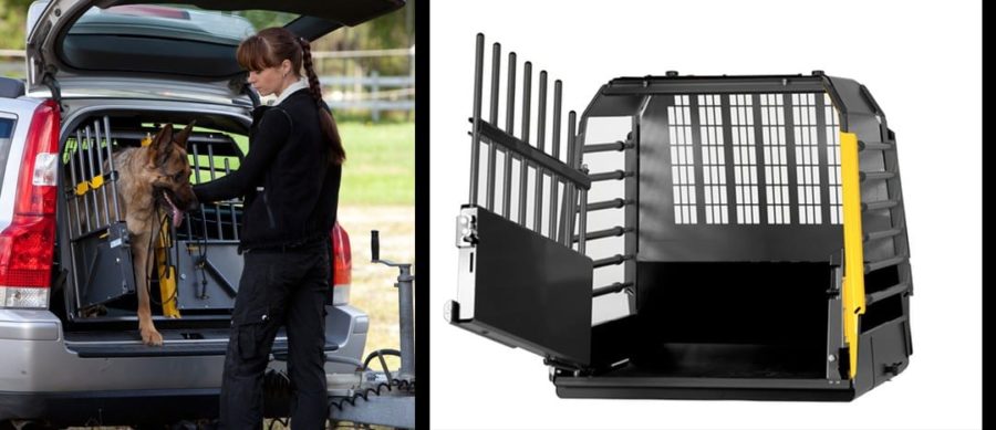 VarioCage - Robert Cabral