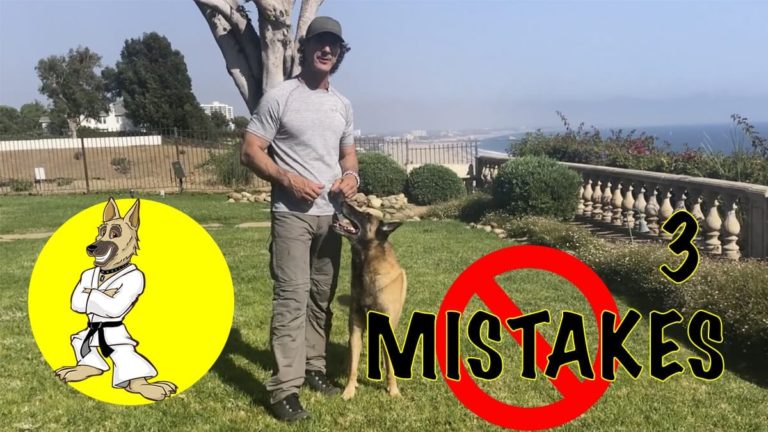 Training Foundations - Robert Cabral