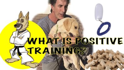 Training Foundations - Robert Cabral