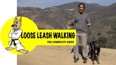 Leash Training - Robert Cabral