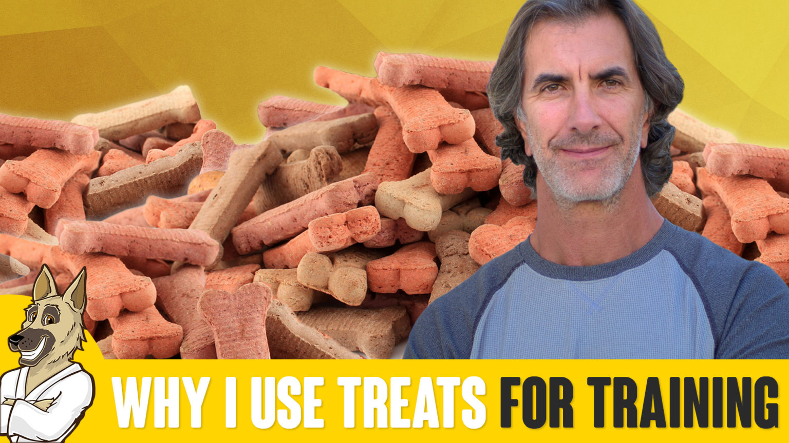 Training Foundations - Robert Cabral