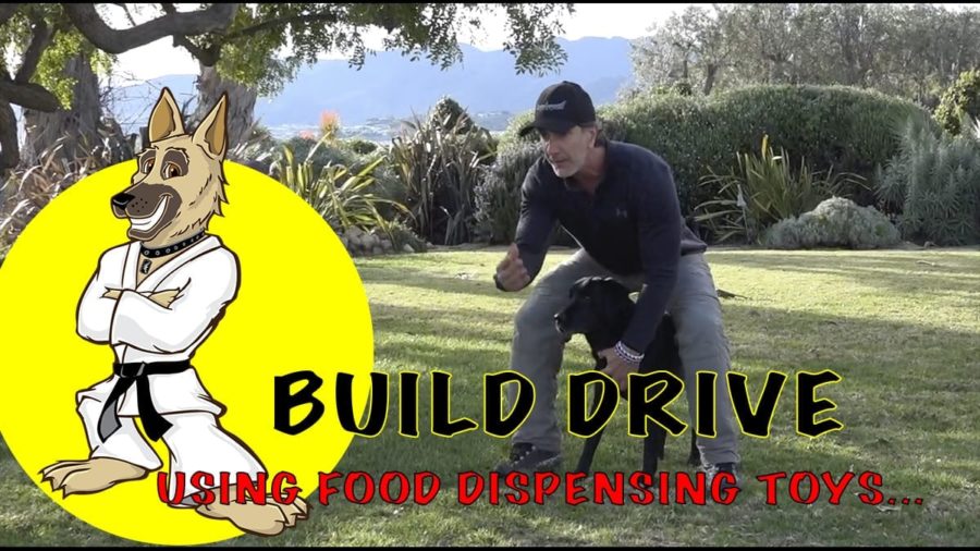 How to Build Drive - Robert Cabral