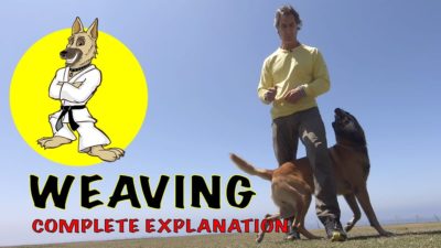 Weaving Between Legs - Robert Cabral