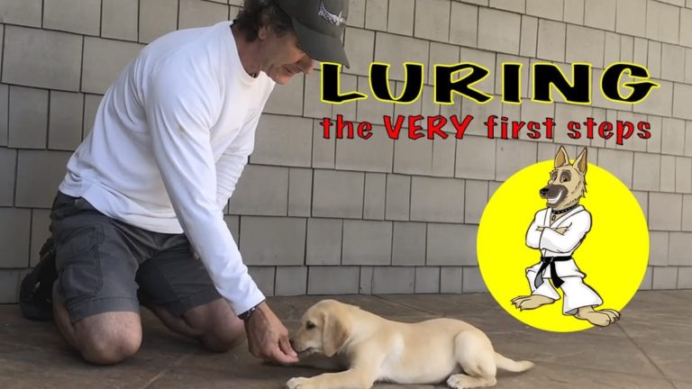 Lessons - Robert Cabral