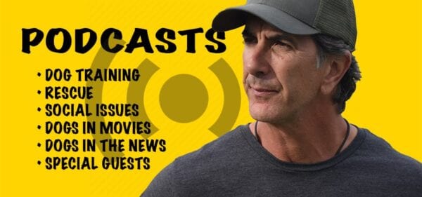 Podcast - Robert Cabral