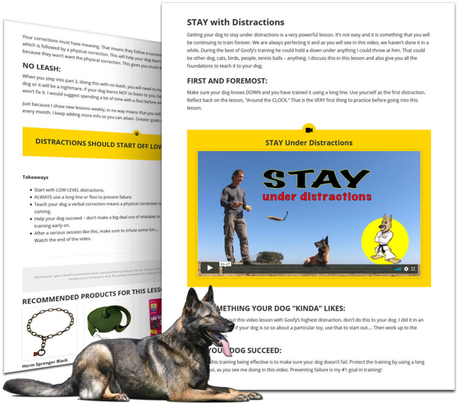 Online Dog Training - Over 125 different video lessons and growing