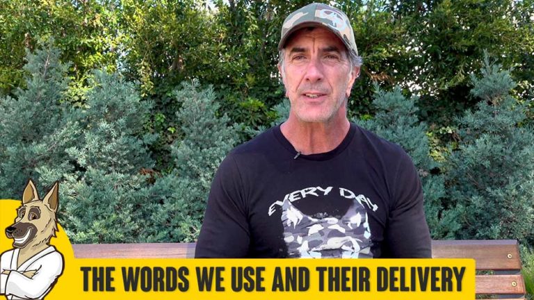 Training Foundations - Robert Cabral