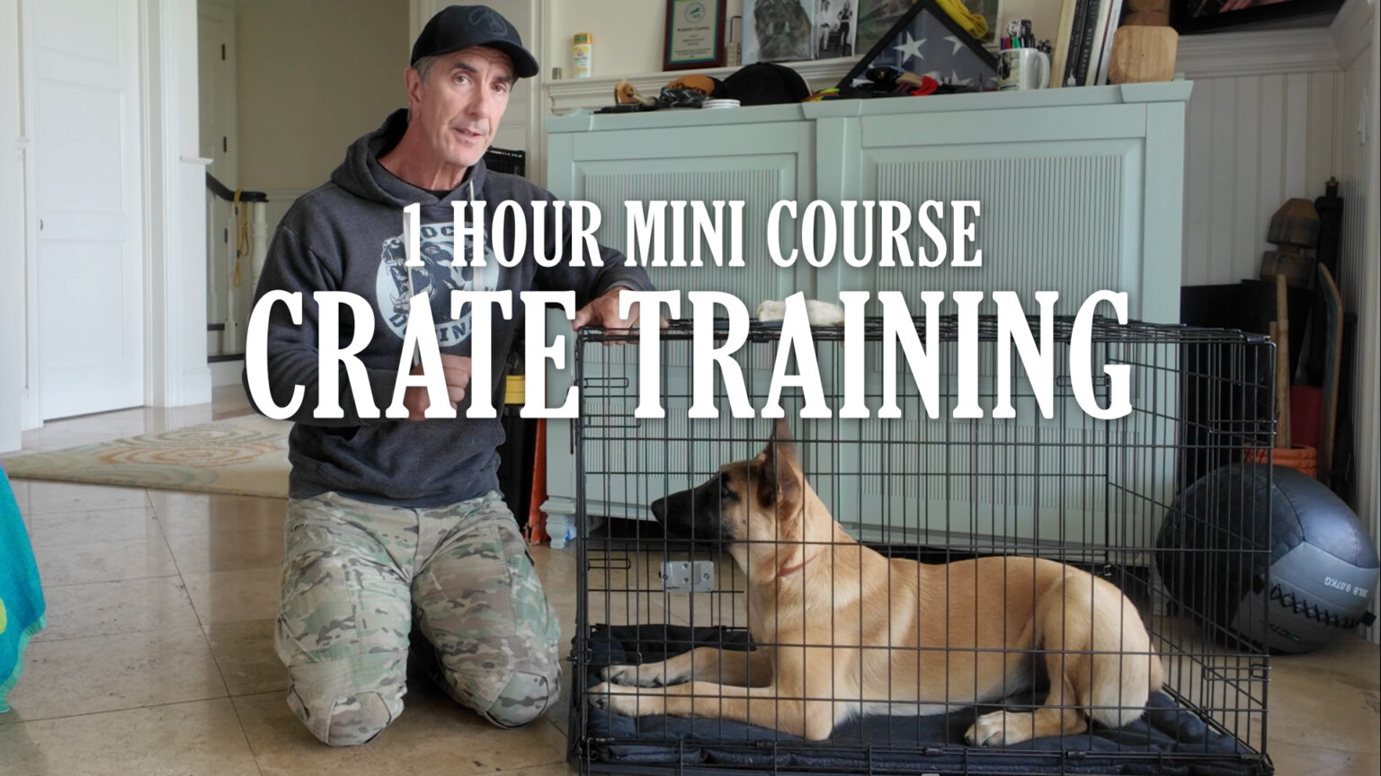 Crate Training Course - Robert Cabral