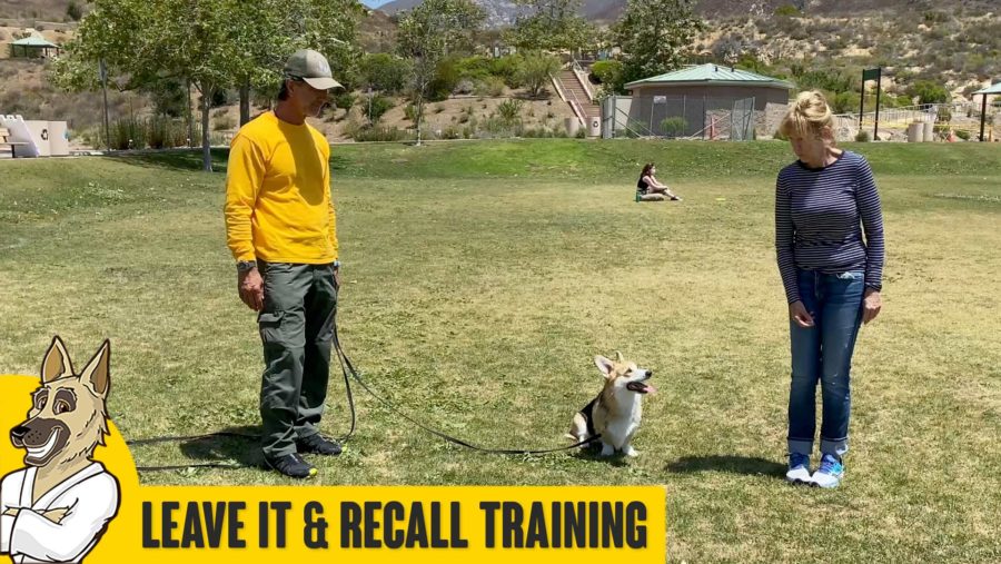 Lessons - Robert Cabral