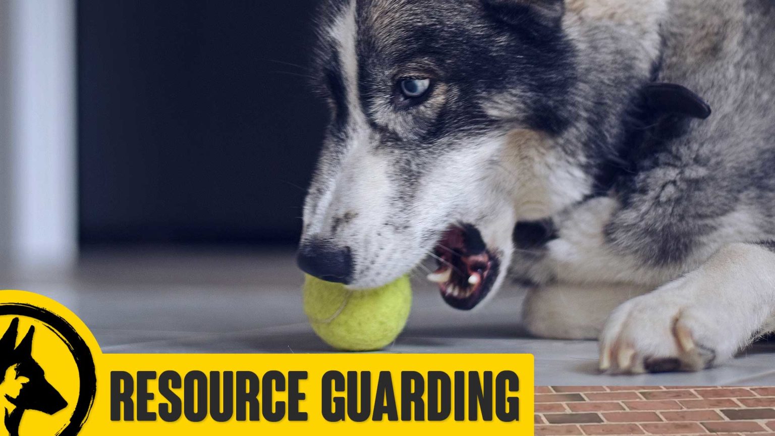 Resource Guarding - Robert Cabral