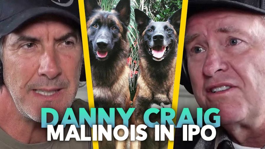 Belgian Malinois in IPO, Schutzhund, IGP - Danny Craig EP.78 - Robert ...