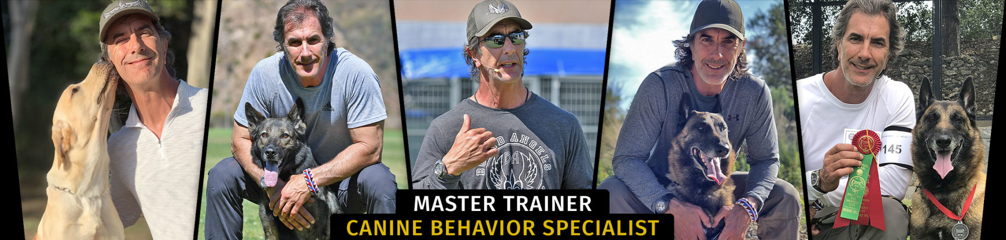 Online Dog Training Videos - Robert Cabral Training Lessons