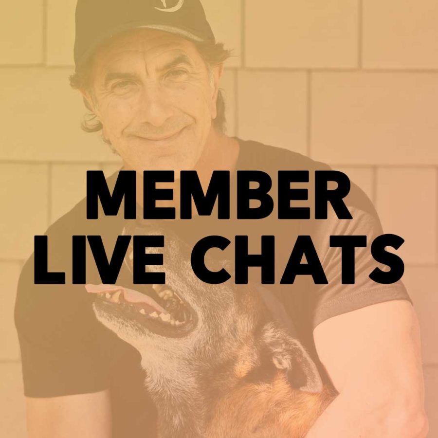 Lessons - Robert Cabral