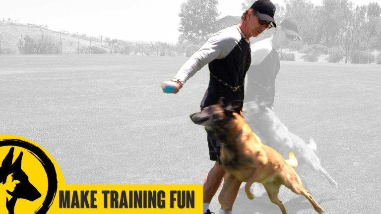 Make Training Fun - Robert Cabral