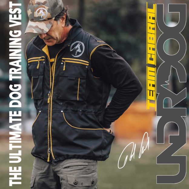 Shop - Robert Cabral