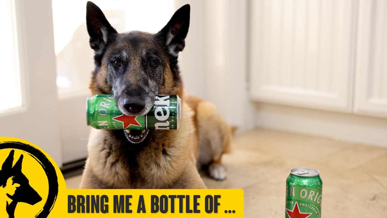 Lessons - Robert Cabral