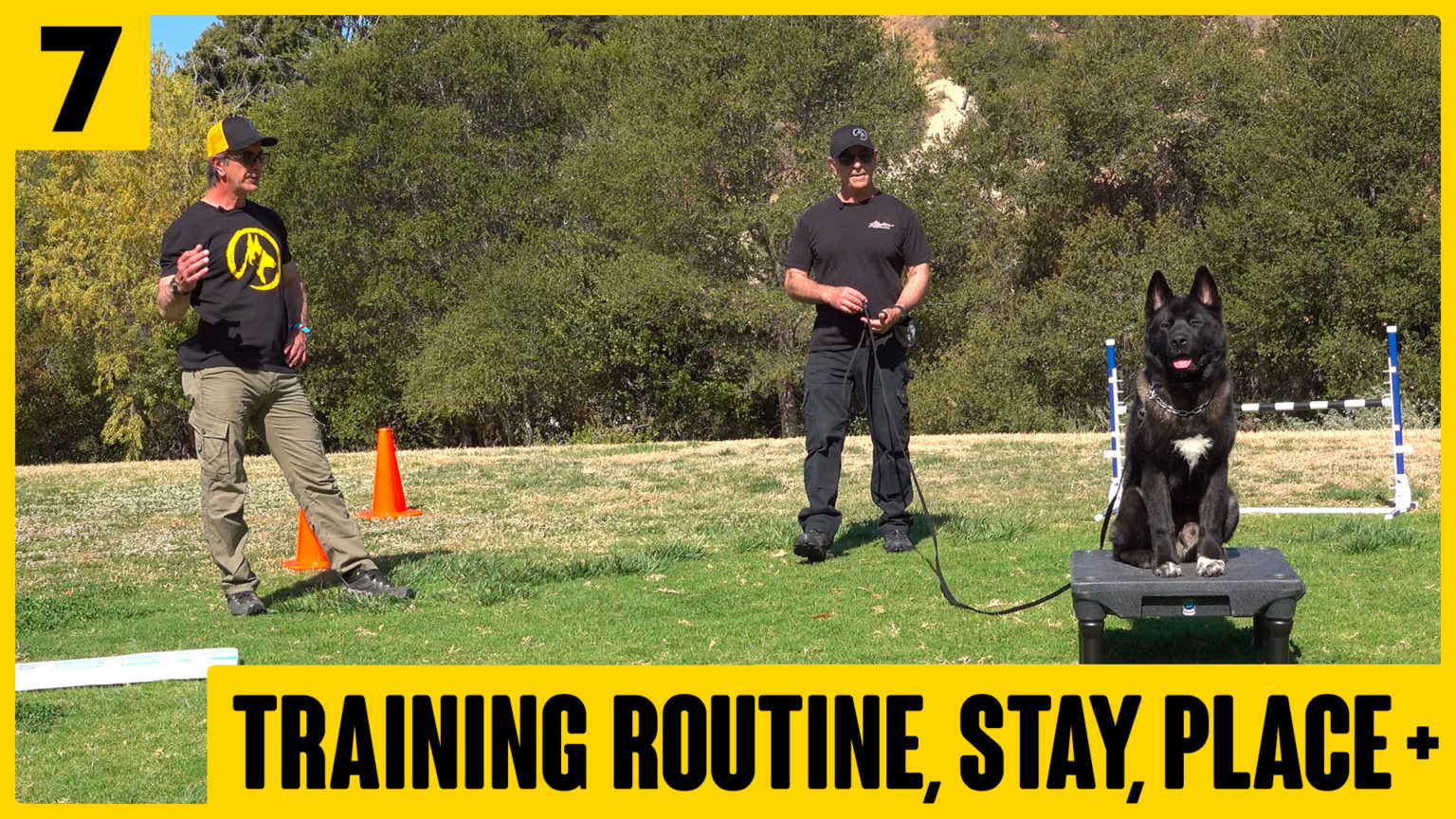 Lessons - Robert Cabral