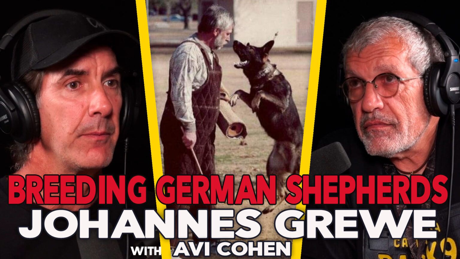 Breeding the Best German Shepherds - Episode 102 - Robert Cabral
