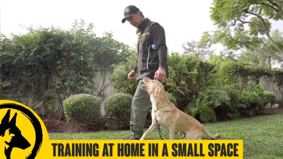 Training at Home in SMALL Spaces - Robert Cabral
