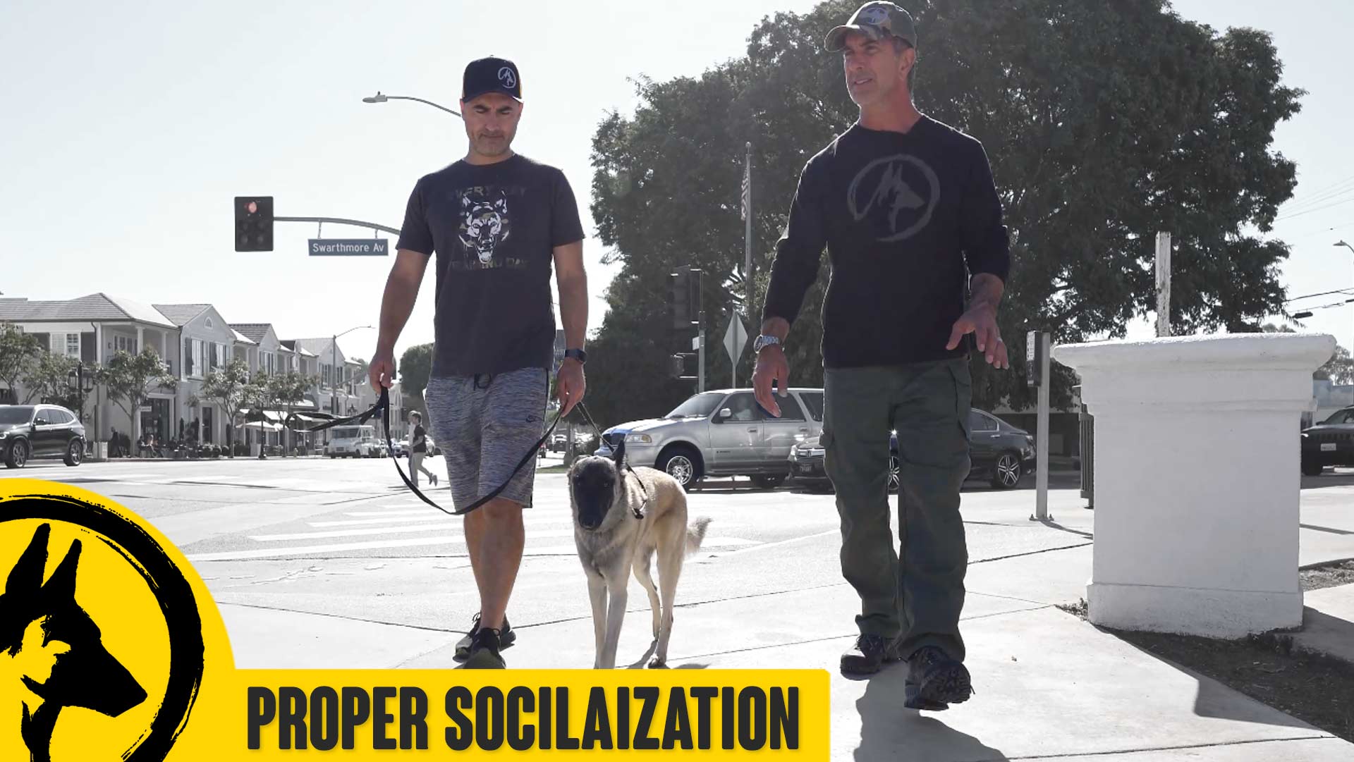 Lessons - Robert Cabral