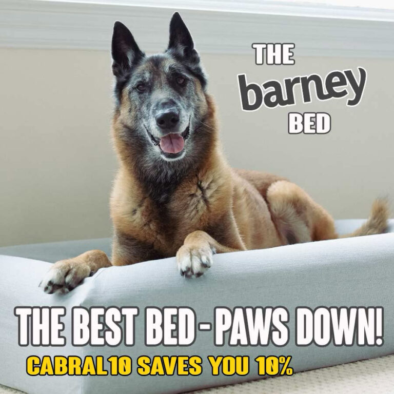 Shop - Robert Cabral