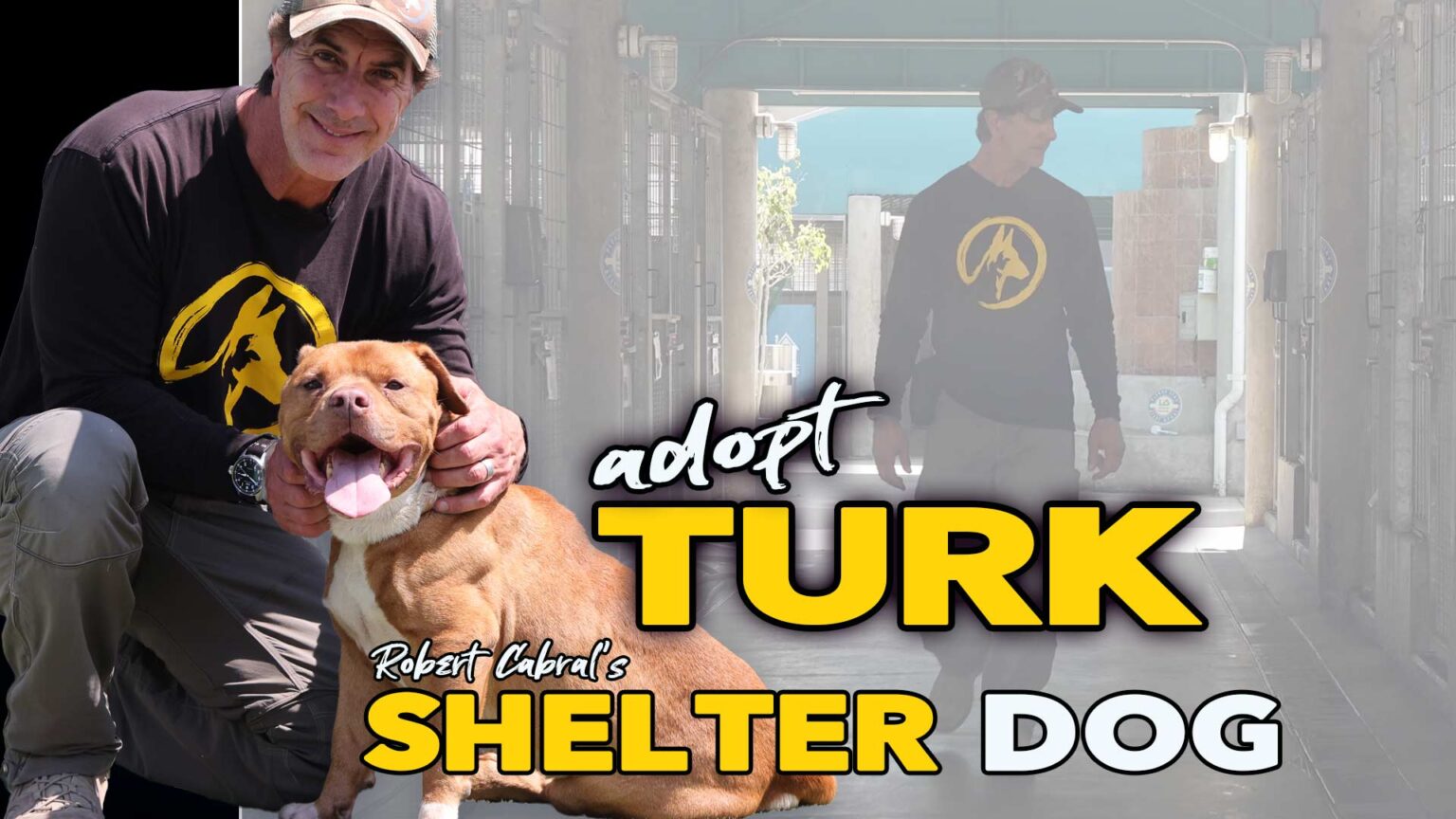 Adopt Shelter Dog "TURK" - Robert Cabral