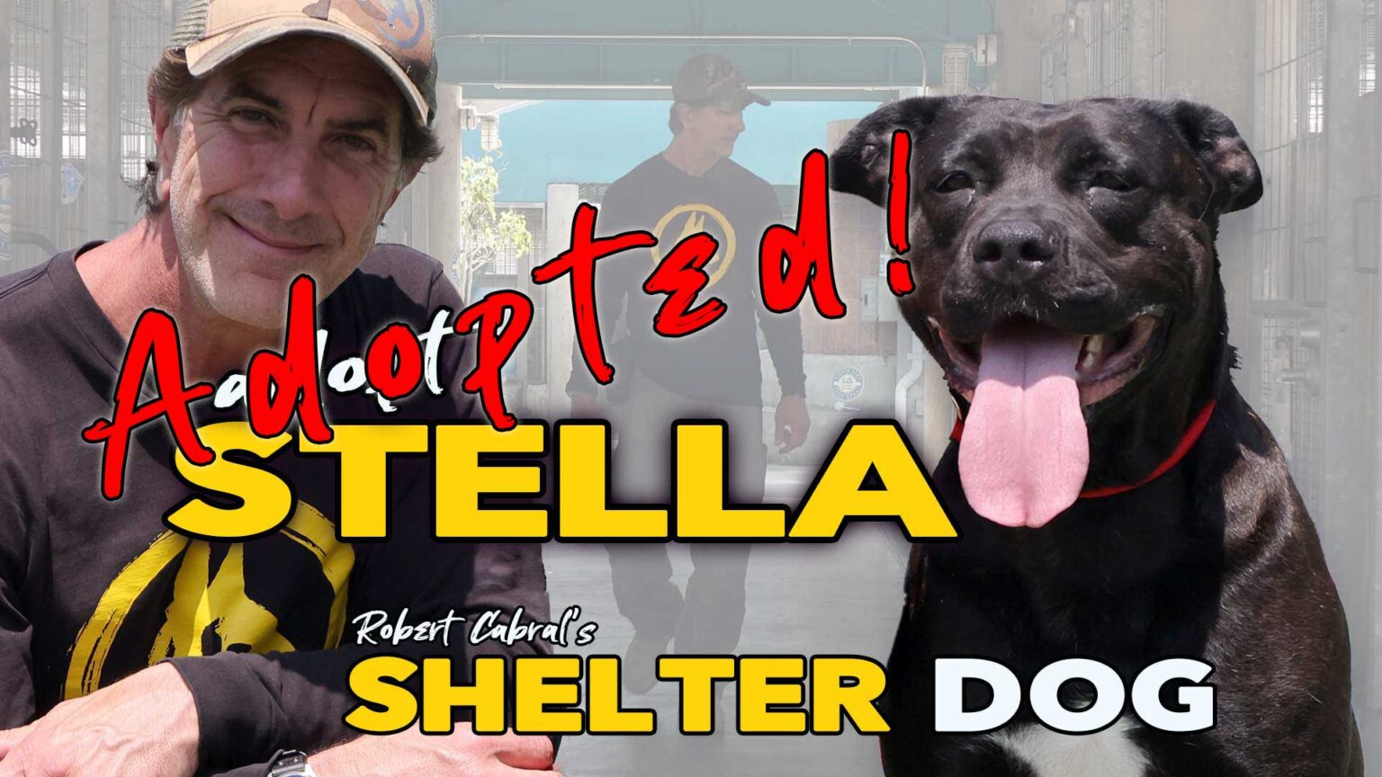 Adopted Shelter Dog "Stella" - Robert Cabral