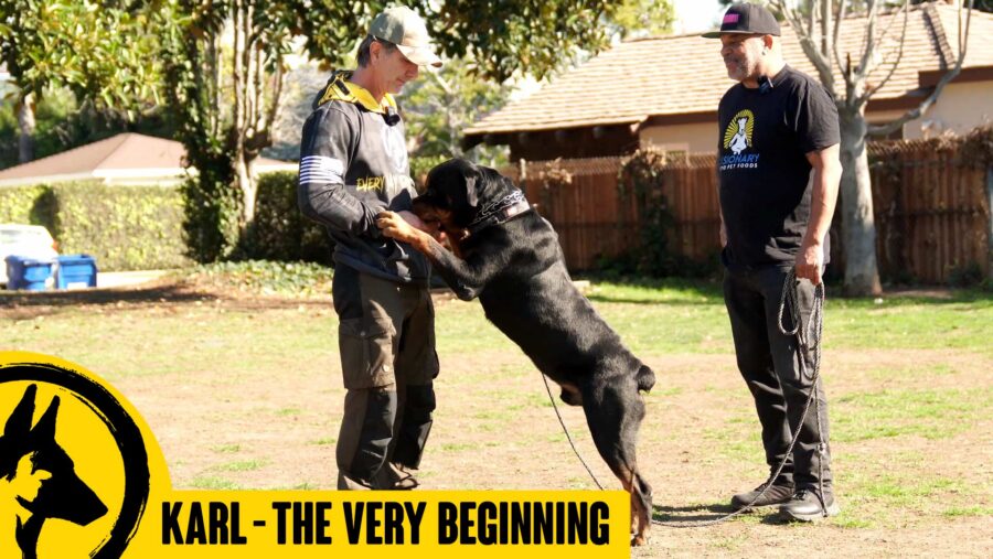 Karl the Rottweiler - The REAL Beginning - Robert Cabral