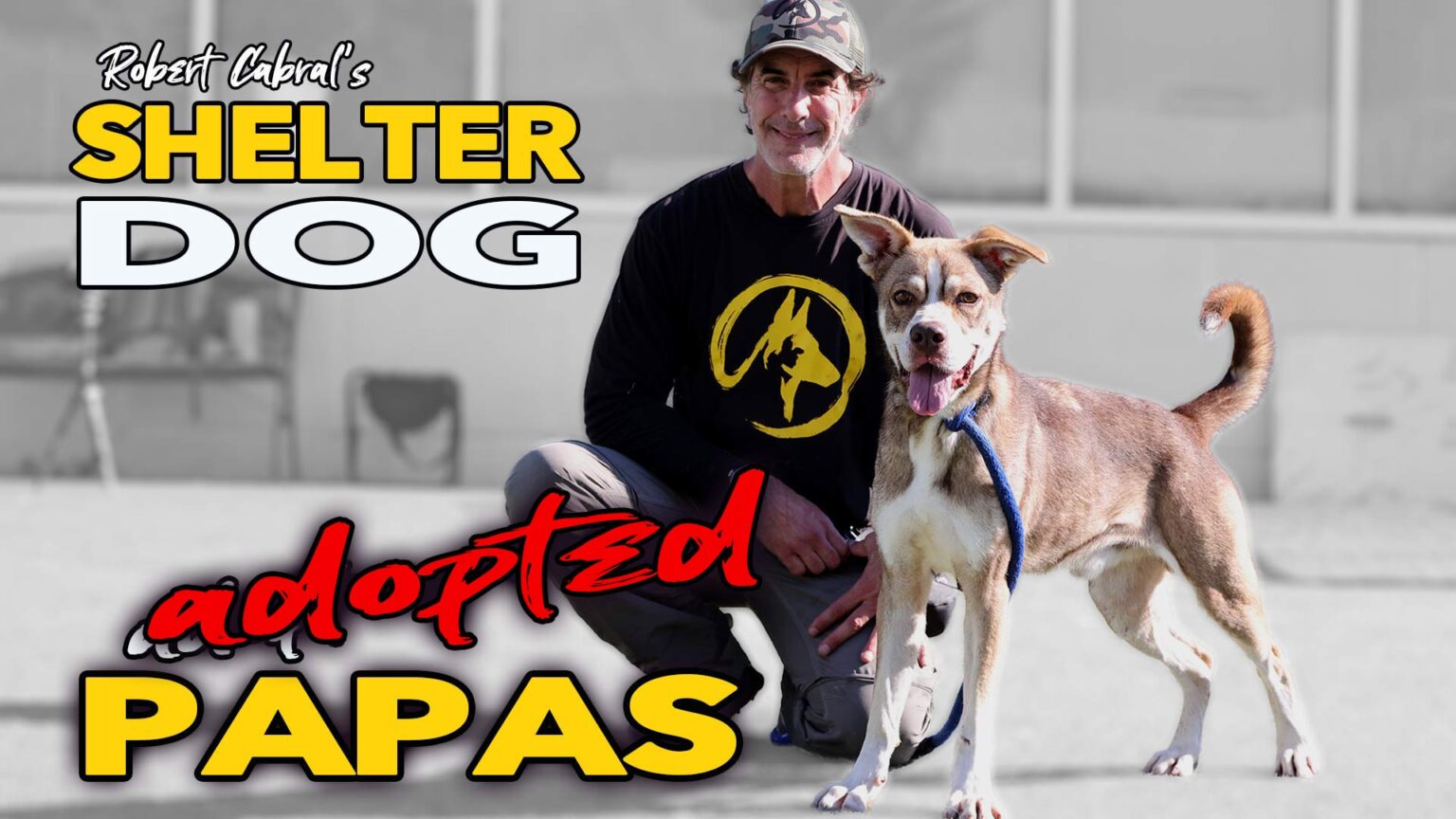 Adopted Shelter Dog "Papas" - Robert Cabral