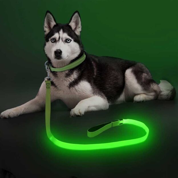 Shop - Robert Cabral