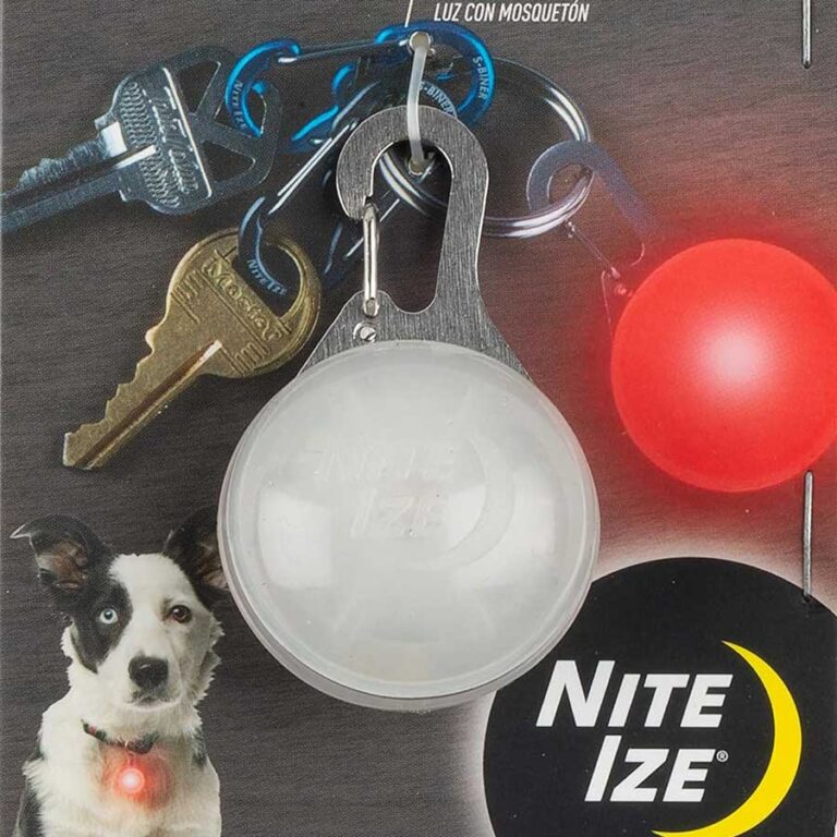 Shop - Robert Cabral