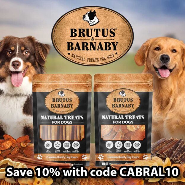 Shop - Robert Cabral