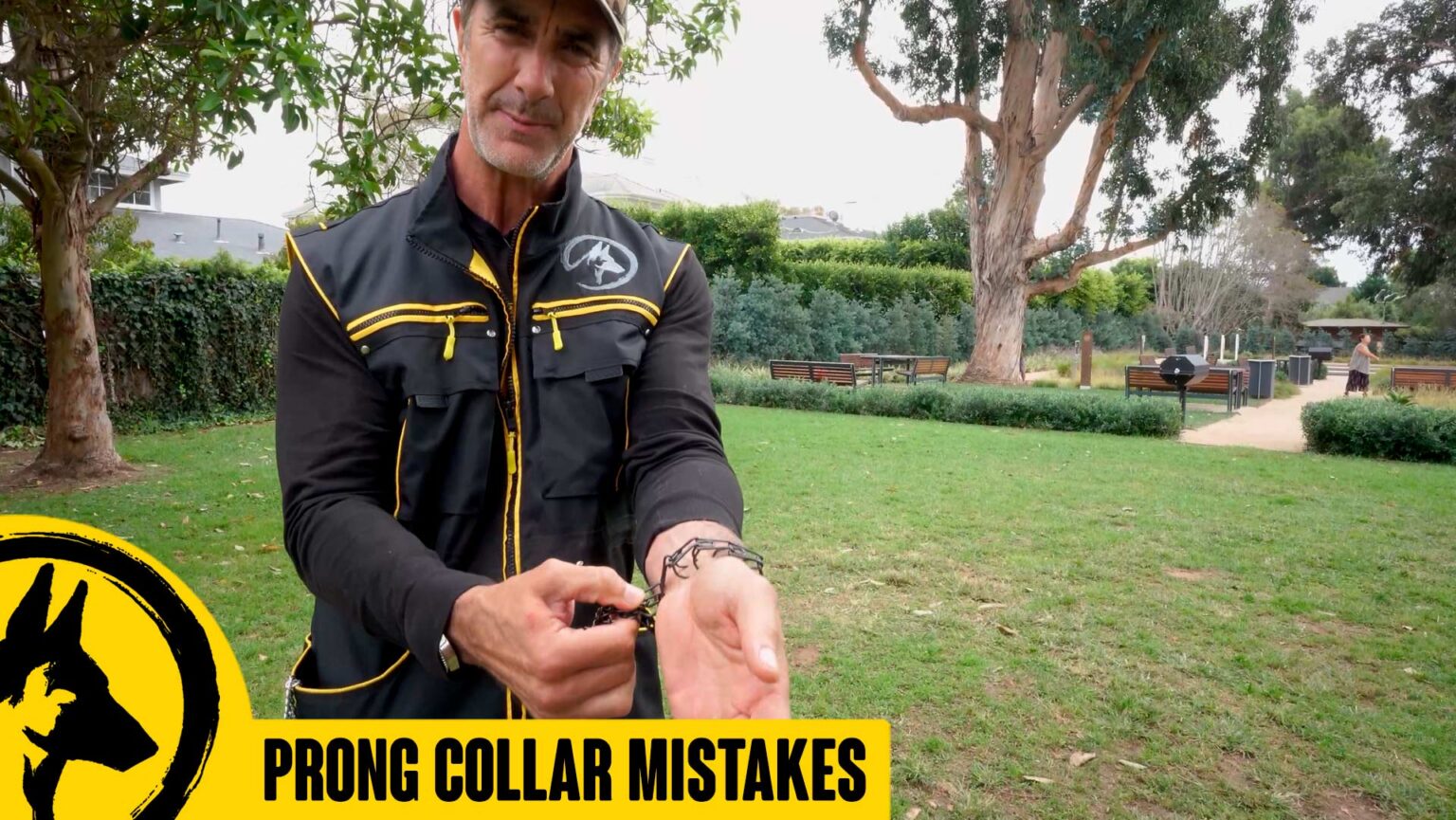 Prong Collar Mistakes - Robert Cabral