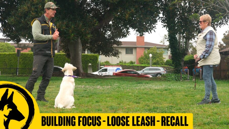 Lessons - Robert Cabral