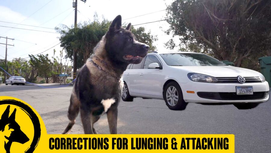 Lessons - Robert Cabral