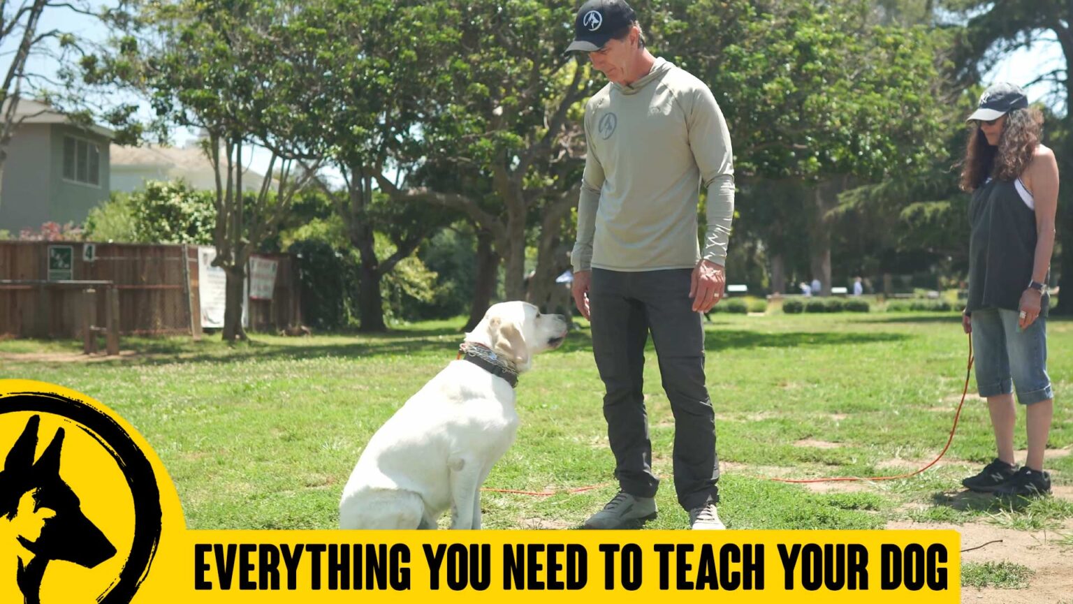 Lessons - Robert Cabral