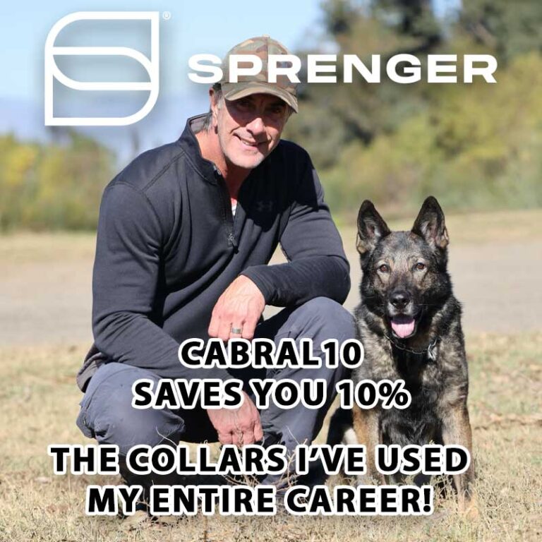 Shop - Robert Cabral