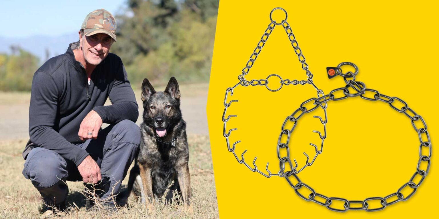 Shop - Robert Cabral