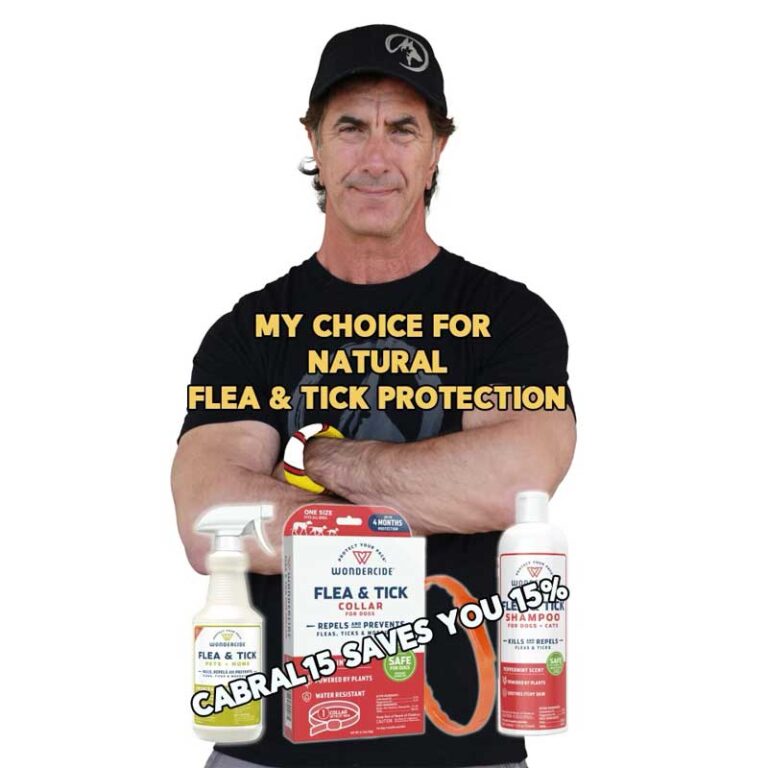 Shop - Robert Cabral