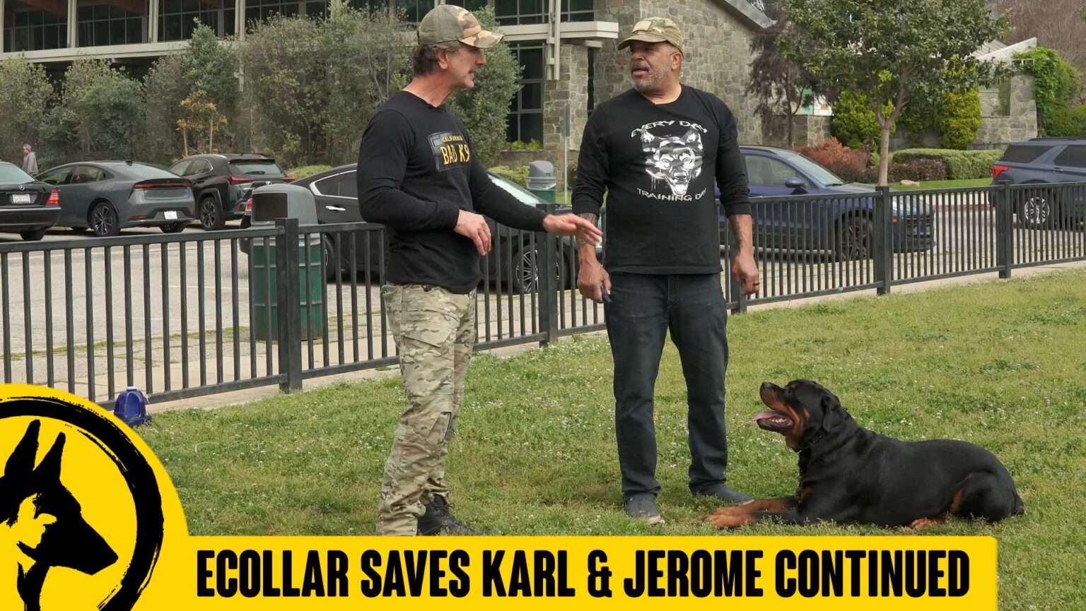 Karl the Rottweiler Ecollar Training #6 - Robert Cabral