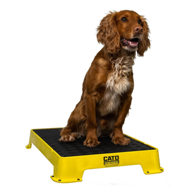Cato Board - Dog Training Platform - Robert Cabral