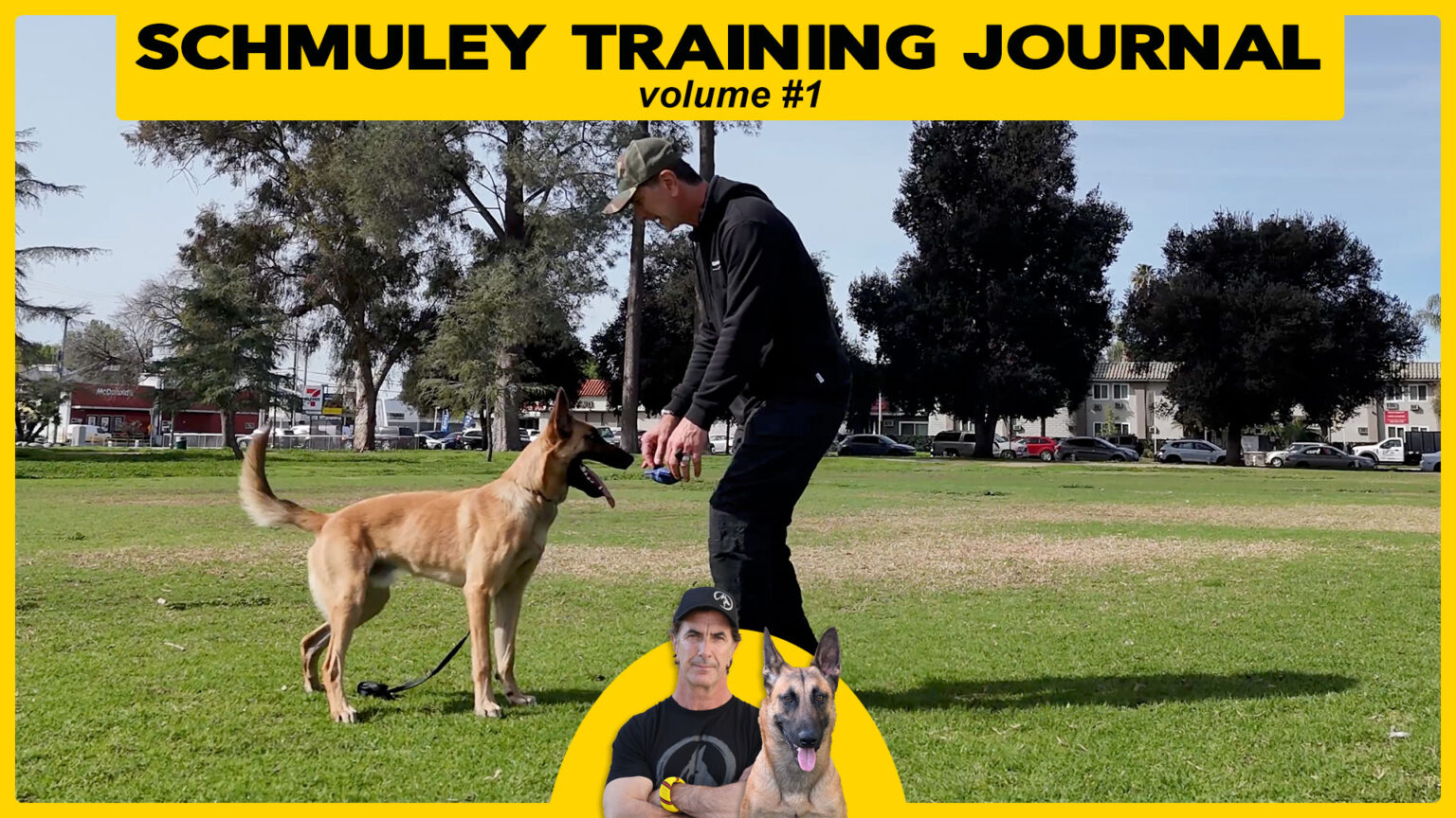 Schmoo Training Journal - volume 1 - Robert Cabral