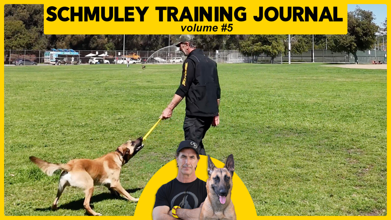 Schmoo Journal 5 - Robert Cabral