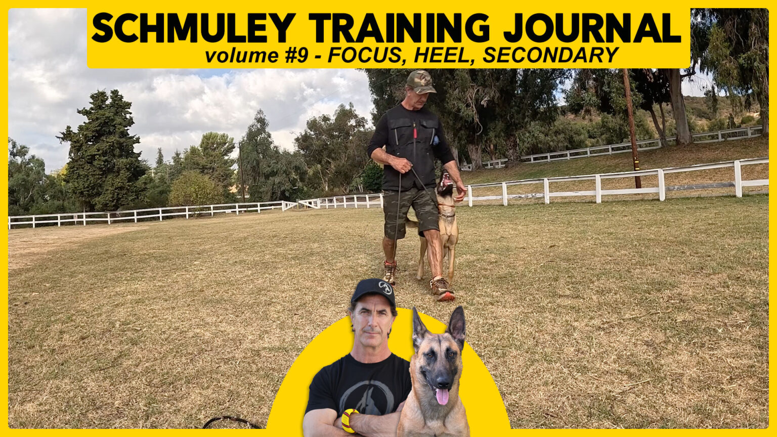 Schmoo Journal 9 - Introducing Distractions - Robert Cabral