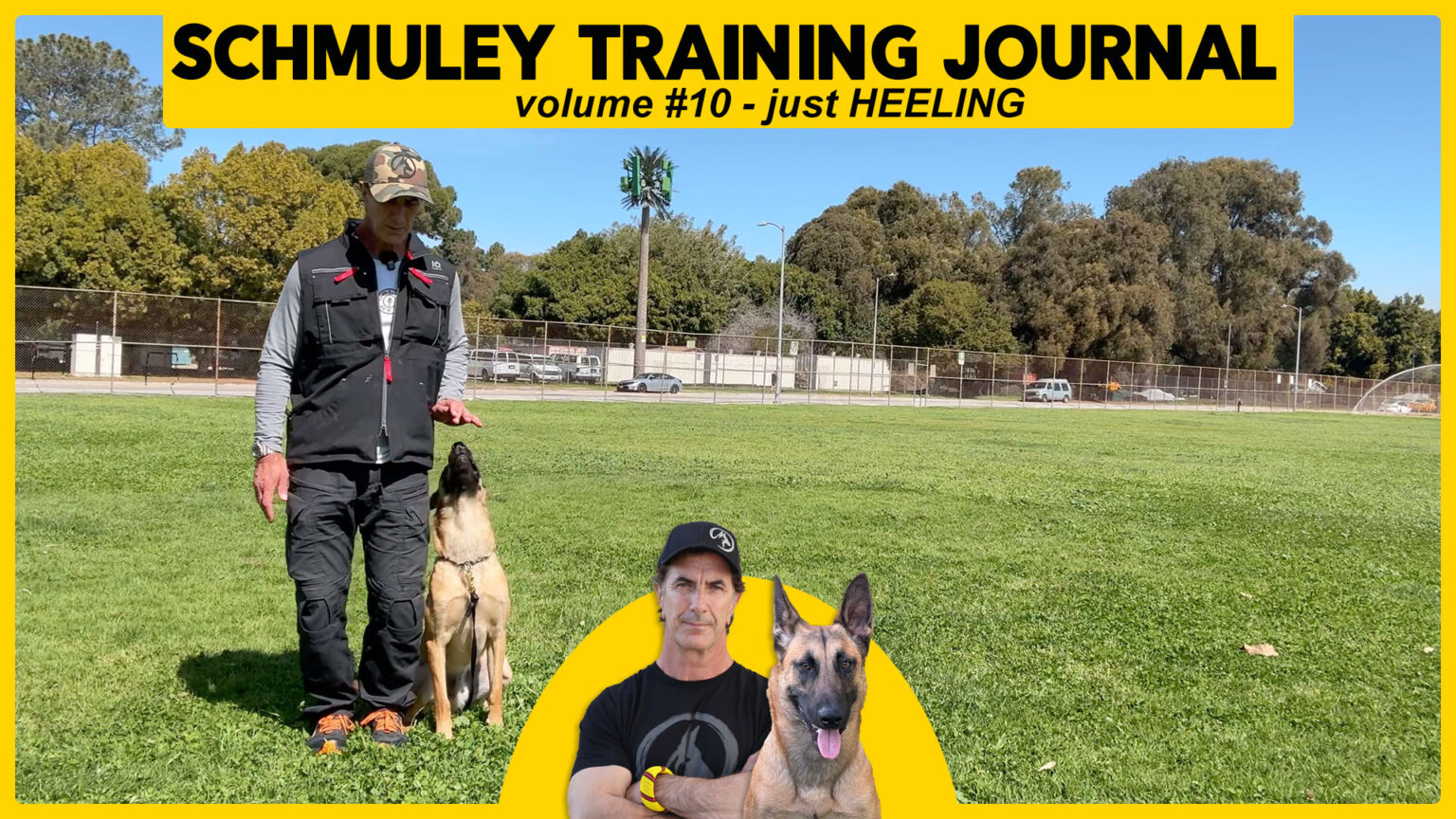 Schmoo Journal 10 - just heeling - Robert Cabral
